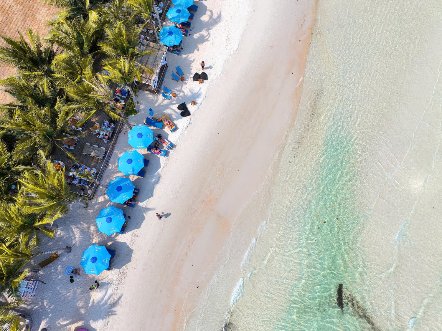 Which Vietnamese beach showcases Pantone’s Color of the Year 2026 ...