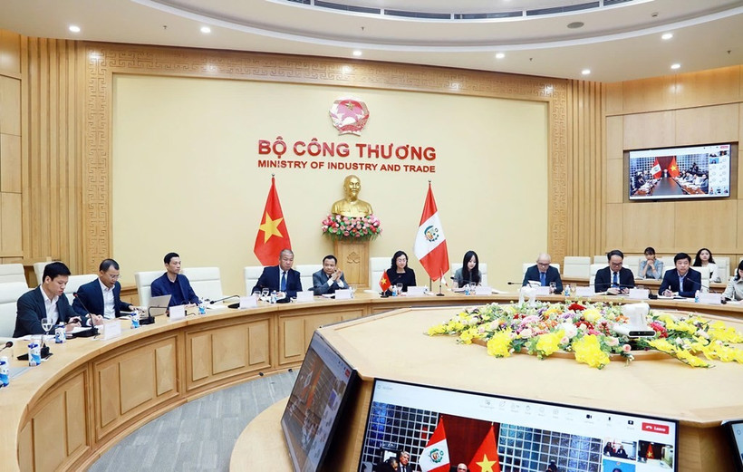 Third plenary session of Vietnam-Peru Intergovernmental Committee | Vietnam+ (VietnamPlus)