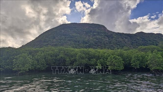 Con Dao turns carbon into assets, shapes up green economic model ...