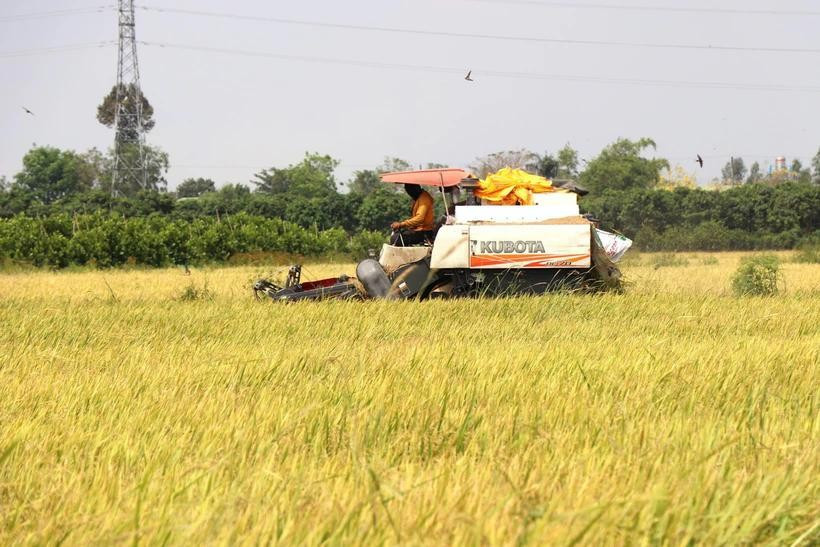 Conference looks to lure hi-tech investment in low-emission rice ...
