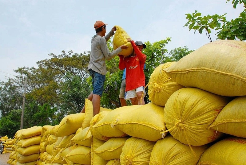 Vietnam’s rice export prices show signs of recovery | Vietnam+ ...