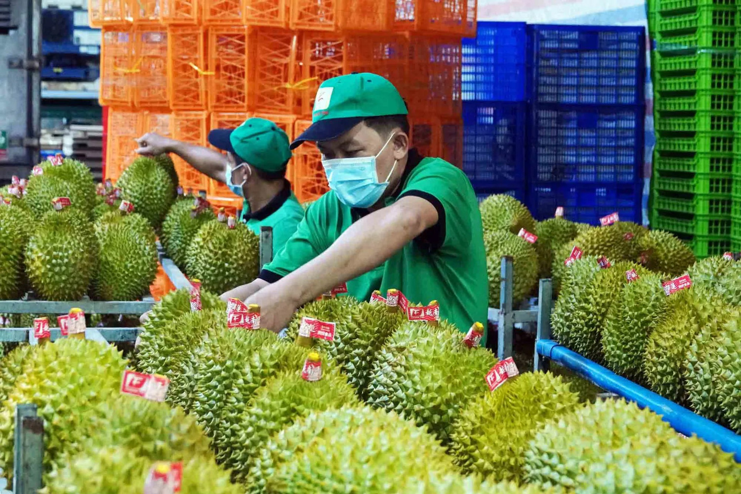 Farm produce traceability system debuts in push for digital agriculture ...