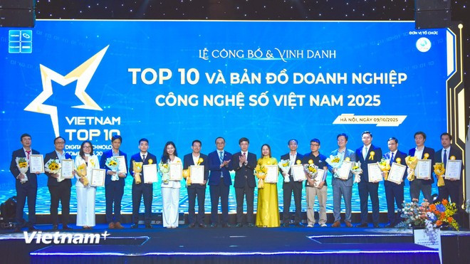 Vietnam digital technology enterprise map 2025 features 257 enterprises ...