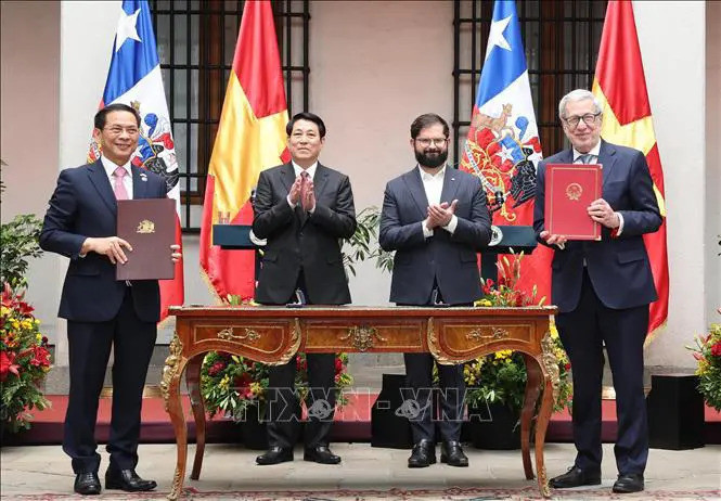Vietnam, Chile issue joint statement | Vietnam+ (VietnamPlus)