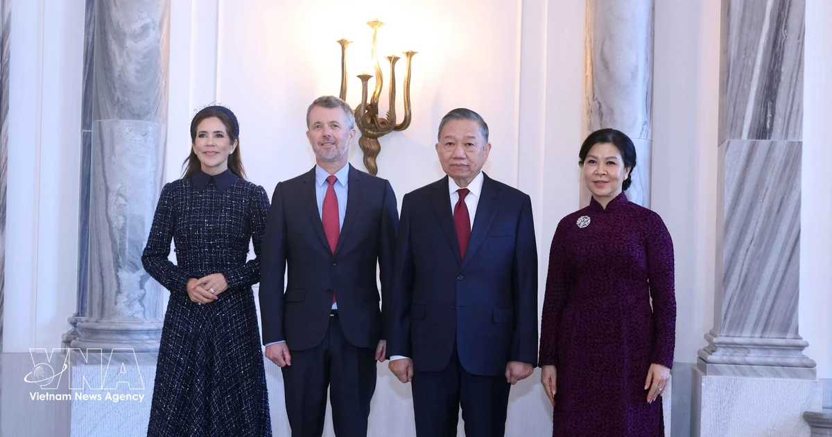 Vietnam-Denmark Comprehensive Strategic Partnership builds on 55-year ...