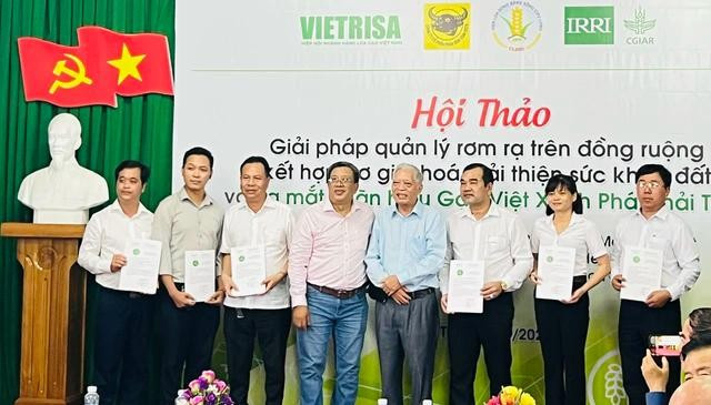"Green and Low-Emission Vietnamese Rice" trademark launched | Vietnam+ ...
