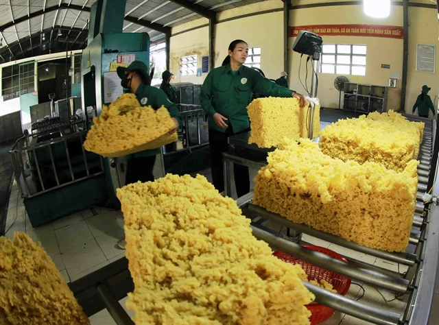 Vietnam s rubber exports to Malaysia grow by triple digits Vietnam VietnamPlus