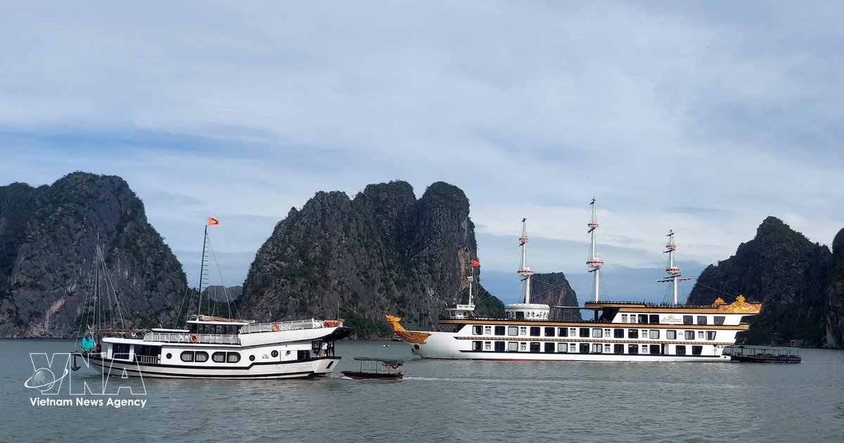 Ha Long Bay suspends visitor access to Soi Sim beach