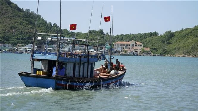 Gia Lai works hard on curbing IUU fishing | Vietnam+ (VietnamPlus)