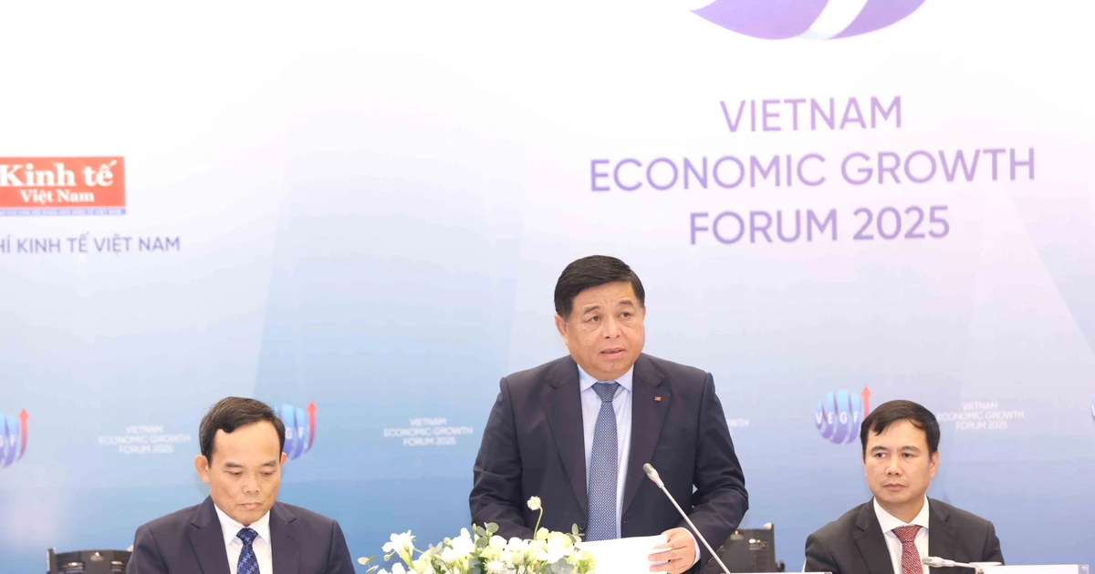 Forum expects to drive Vietnam’s rapid, sustainable growth | Vietnam+ ...