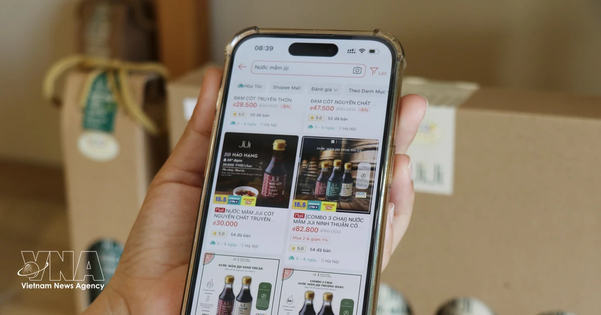 Higher marketplace fees weigh on online sellers | Vietnam+ (VietnamPlus)