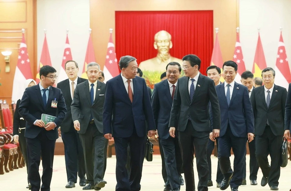 Leader urges action plan for Vietnam-Singapore Comprehensive Strategic Partnership | Vietnam+ ...
