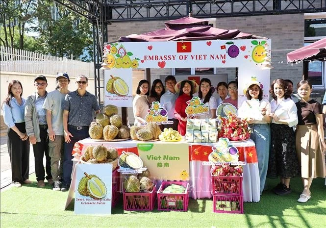 Vietnam’s durian featured at first ASEAN–China Durian Festival ...