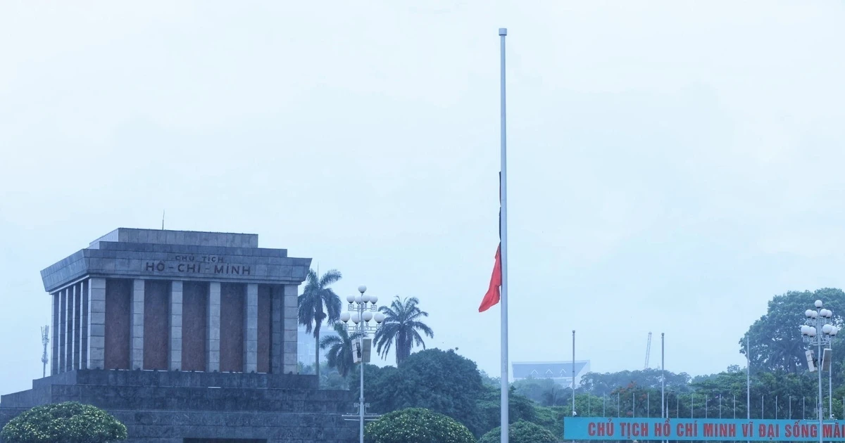 National mourning flag raised for former President Tran Duc Luong | Vietnam+ (VietnamPlus)