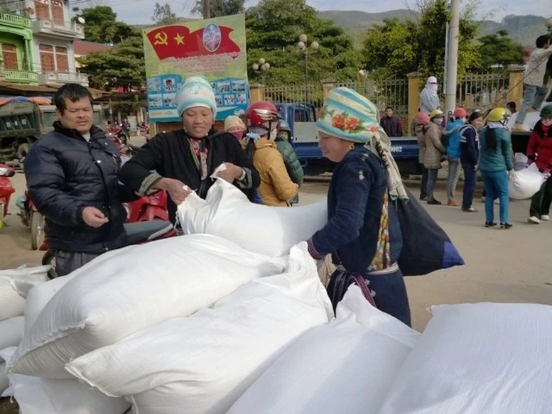 Gia Lai province gets over 1,120-tonne rice relief aid | Vietnam+ ...
