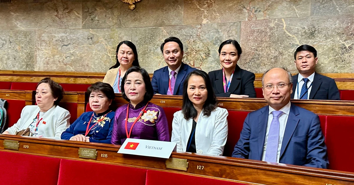 Vietnam affirms constructive role at APF-50 | Vietnam+ (VietnamPlus)