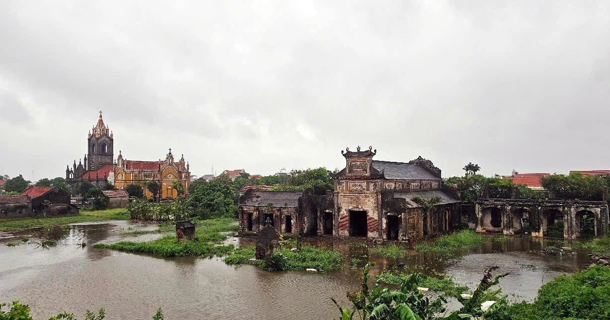 Weekly highlights: Typhoon Wipha leaves widespread damage in northern and north-central ...