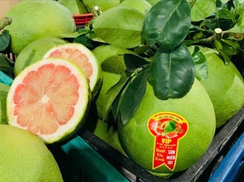 Vietnamese pomelo in final stage for export to Australia | Vietnam+ ...