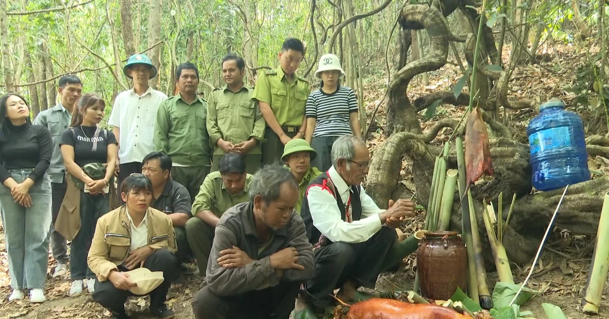 Unique forest worship ritual of Jrai ethnic people | Vietnam+ (VietnamPlus)