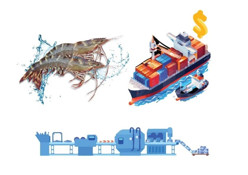 Shrimp exports target 4.3 billion USD in 2025