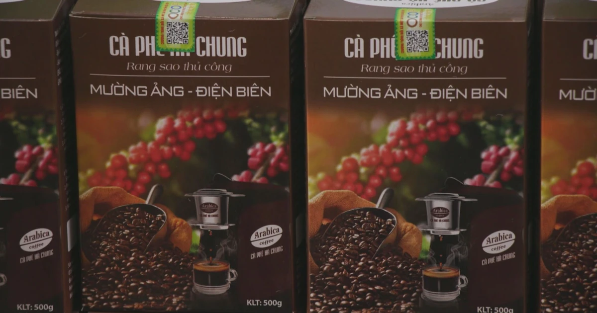 Dien Bien promoting Muong Ang coffee brand | Vietnam+ (VietnamPlus)
