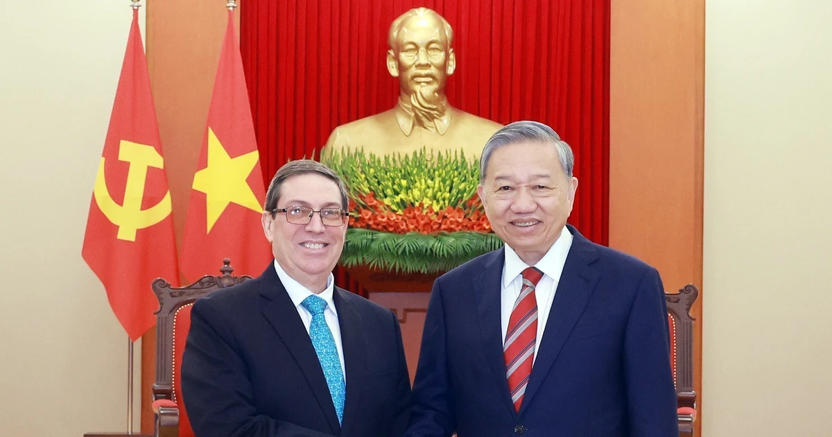 Vietnam values solidarity, cooperation with Cuba | Vietnam+ (VietnamPlus)
