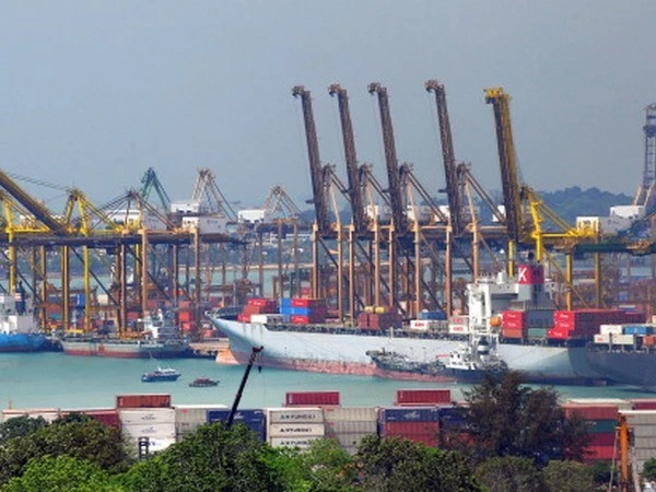 Cebu Action Plan aims to build a better APEC Community | Vietnam+ ...