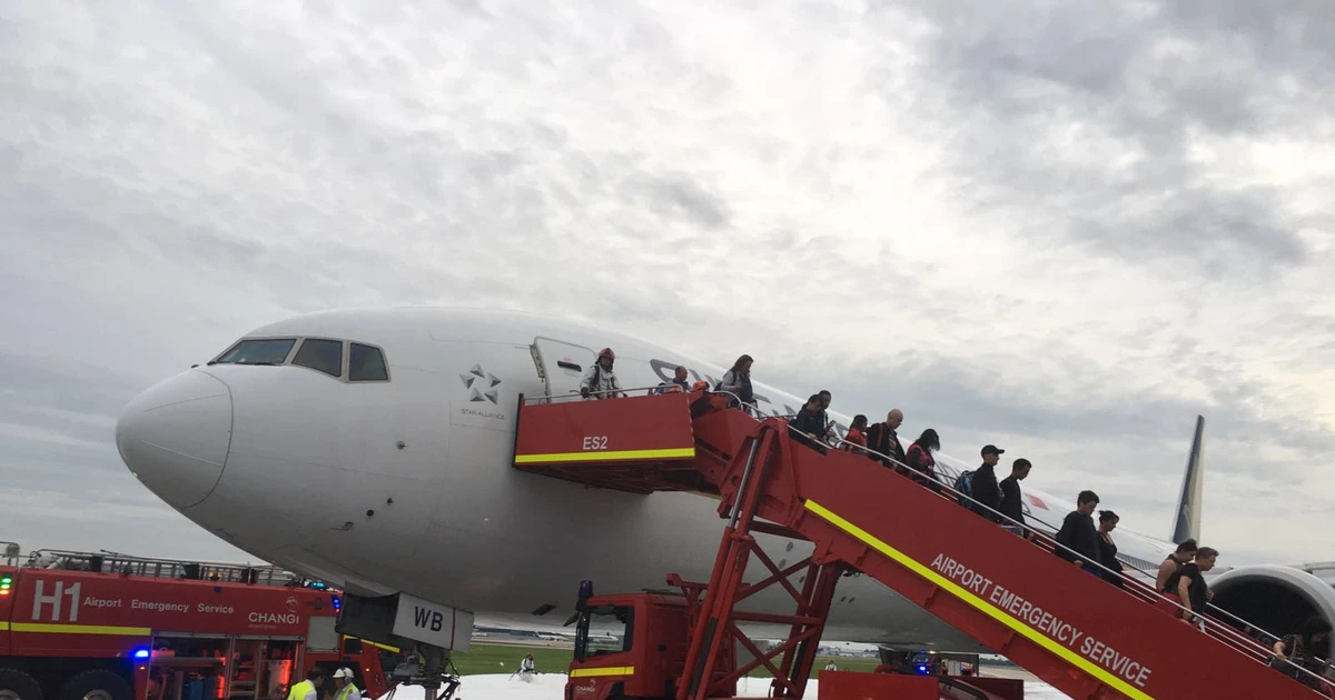 Singaporean plane makes emergency landing, catches fire | Vietnam+ ...