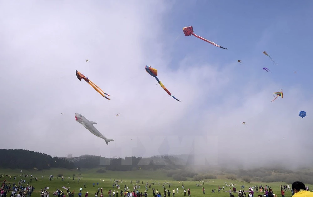 Flute kites: a centuries-old game for all ages | Vietnam+ (VietnamPlus)