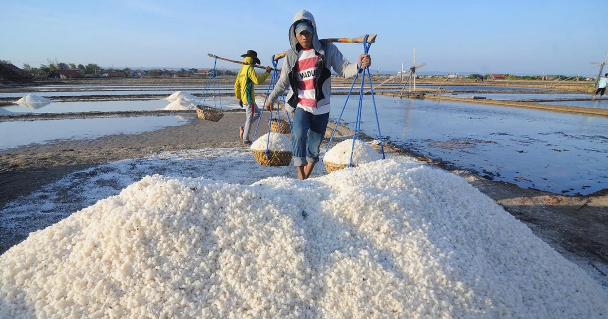 Indonesia to import millions of tonnes of salt: official | Vietnam+ ...