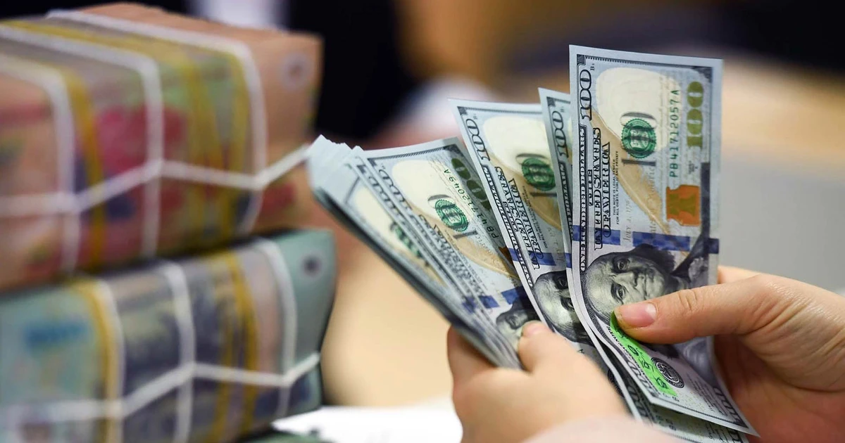 Reference exchange rate down 5 VND on August 28 | Vietnam+ (VietnamPlus)