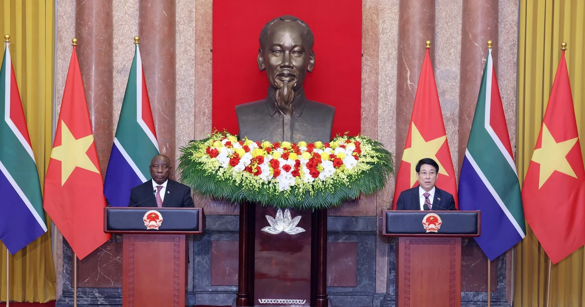 Vietnam, South Africa usher in new chapter of more intensive, extensive ...