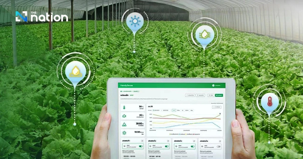 Thailand unveils AI-, IoT-based smart agriculture platform | Vietnam+ ...