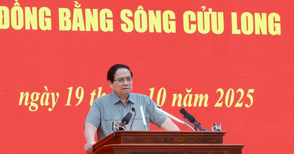 PM describes infrastructure project construction in Mekong Delta as ...