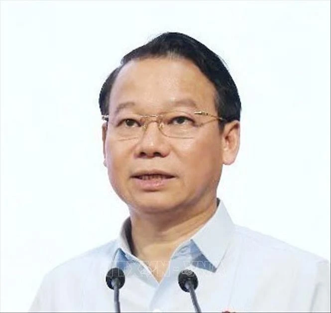 Do Duc Duy relieved of duties as NA deputy | Vietnam+ (VietnamPlus)