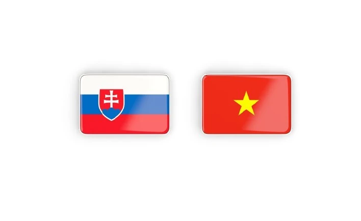 Vietnam, Slovakia strengthen traditional friendship | Vietnam+ ...