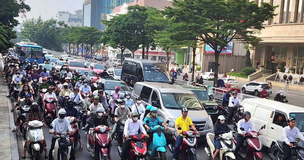 Petrol vehicle market stalls as consumer sentiment wavers