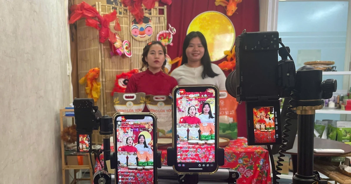 MoIT lifts e-commerce growth forecast to 25.5% | Vietnam+ (VietnamPlus)