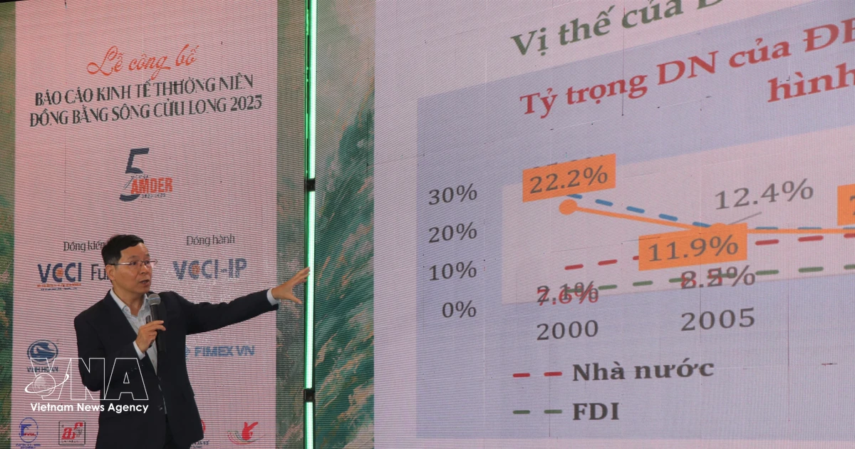 Mekong Delta Economic Report 2025 calls for institutional breakthroughs ...