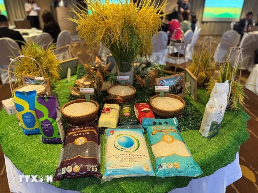 Vietnam Showcases Rice Products at Business Networking Seminar in Hong ...
