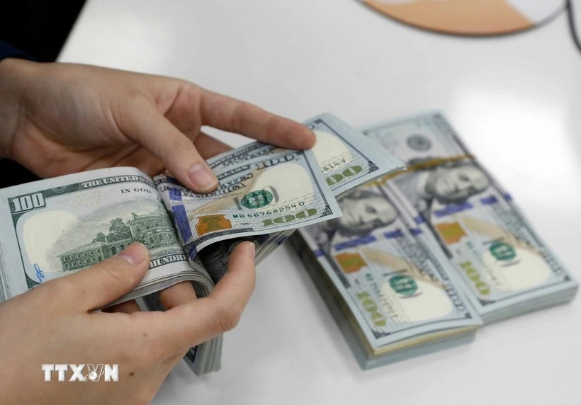 Reference exchange rate goes up 10 VND on August 19 | Vietnam+ ...