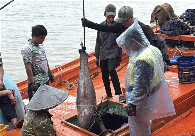 Dak Lak province ramps up fight against IUU fishing | Vietnam+ ...