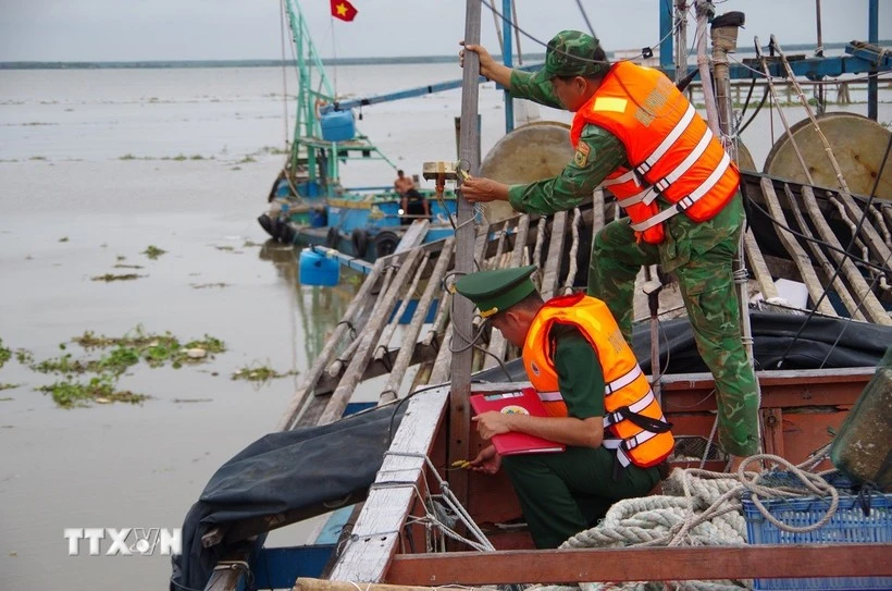 Dong Thap province tightens monitoring of vessels at sea to address IUU ...