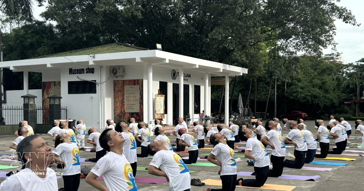 Mass yoga performance celebrates India – Vietnam cultural ties