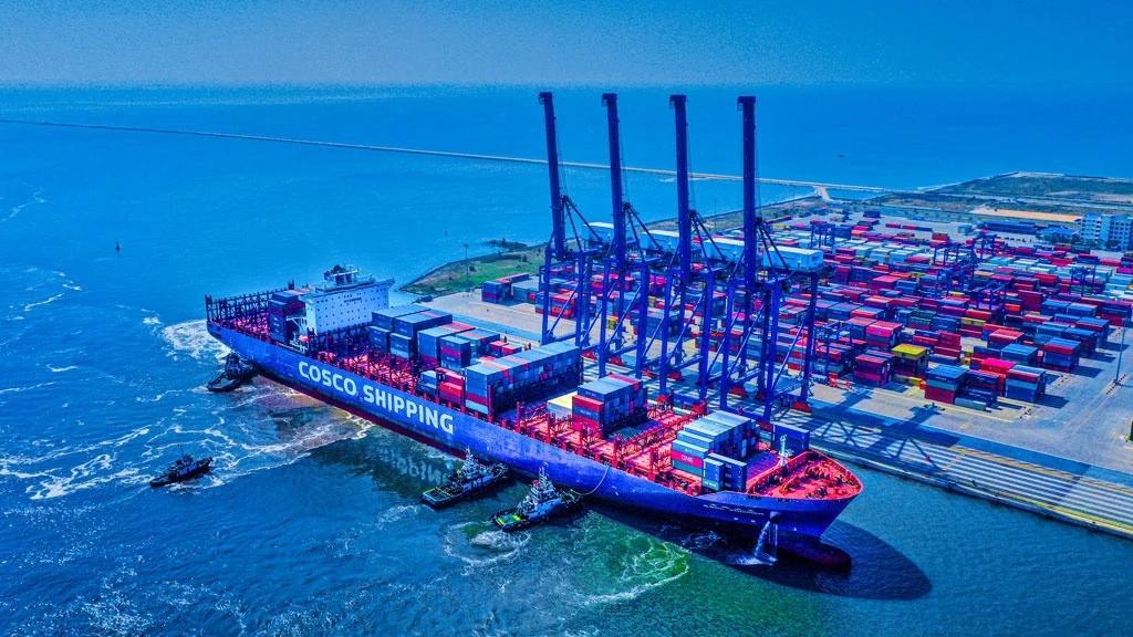 Vietnam moves to develop merchant cargo fleet | Vietnam+ (VietnamPlus)
