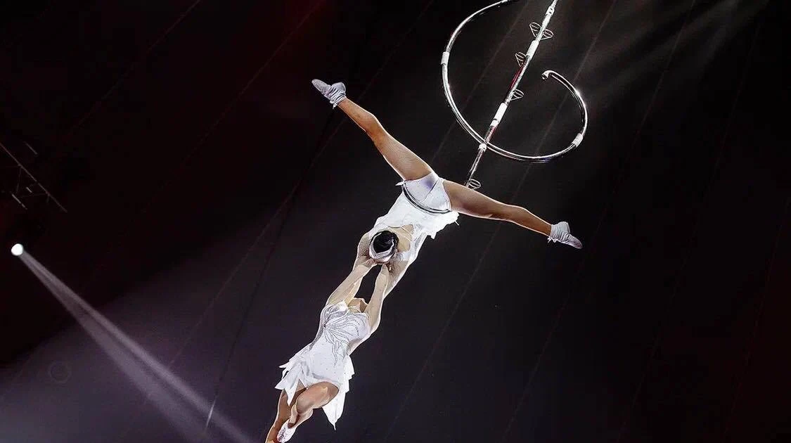 Vietnamese circus acts shine in international arena | Vietnam+ ...