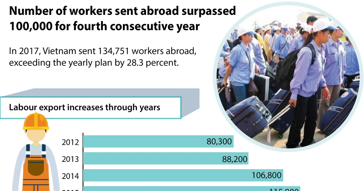 Labour export on the rise | Vietnam+ (VietnamPlus)