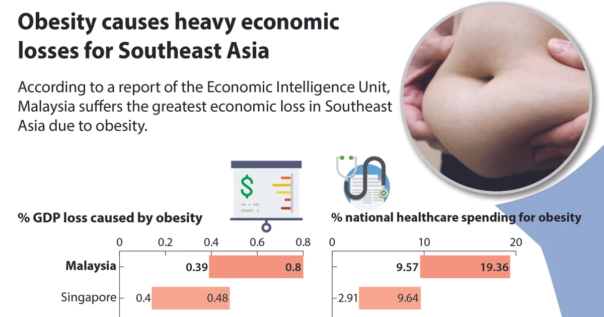 Obesity causes heavy economic losses for Southeast Asia | Vietnam+ ...