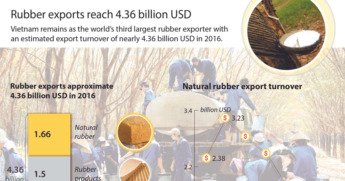 Rubber exports reach 4.36 billion USD | Vietnam+ (VietnamPlus)