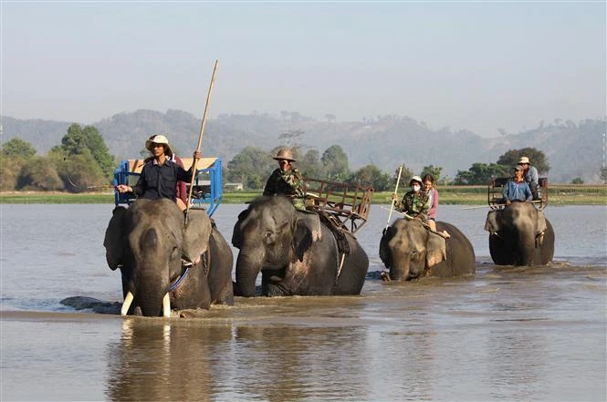 Dak Lak - an attractive destination to tourists | Vietnam+ (VietnamPlus)